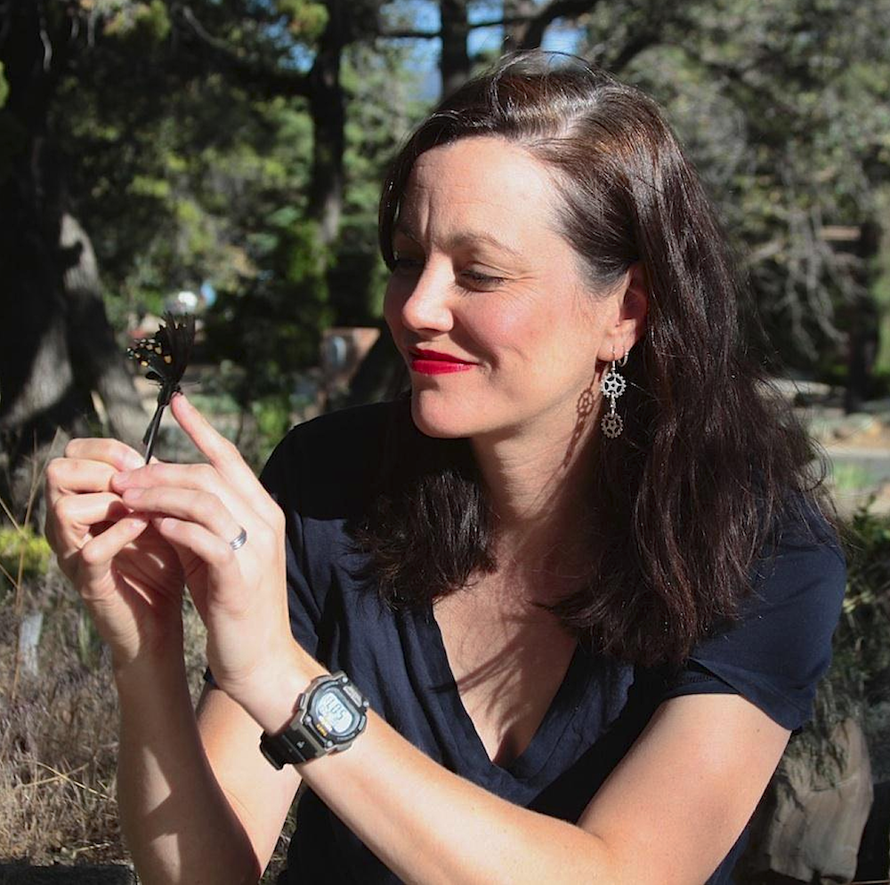 May eButterflier of the Month – eButterfly